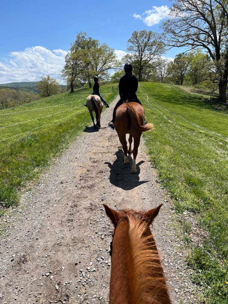 A weekend trip to the Biltmore - Em for Marvelous