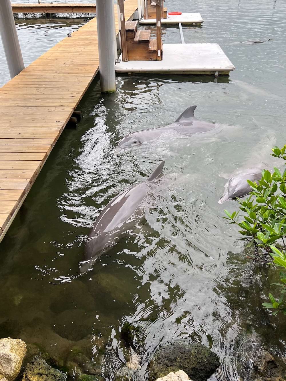 An Extended Family Trip to the Florida Keys - Em for Marvelous